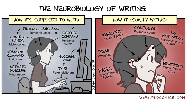 The neurobiology of writing | ProjectScrib